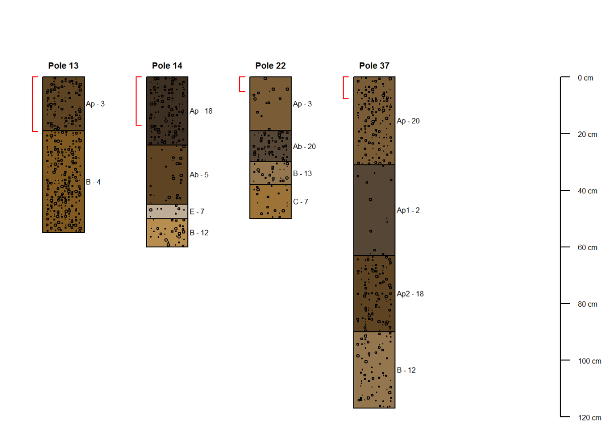 Plotting Shovel Test Unit Profiles in R with the aqp package ...